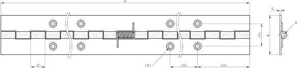 Opening spring loaded continuous hinges