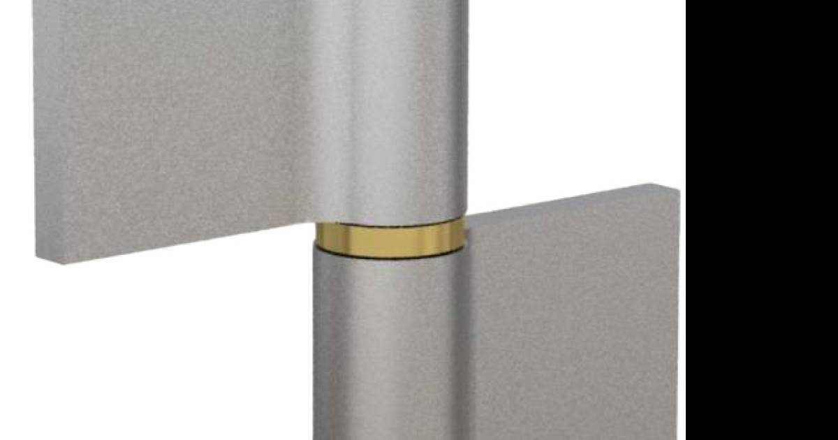 Element copié Flag hinges B - steel pin - brass washer