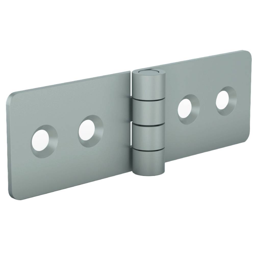Hinge 20 x 65 mm