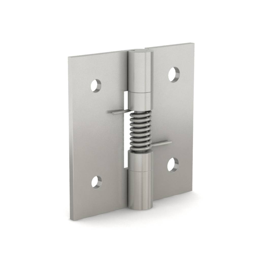 Spring hinges 50 mm long