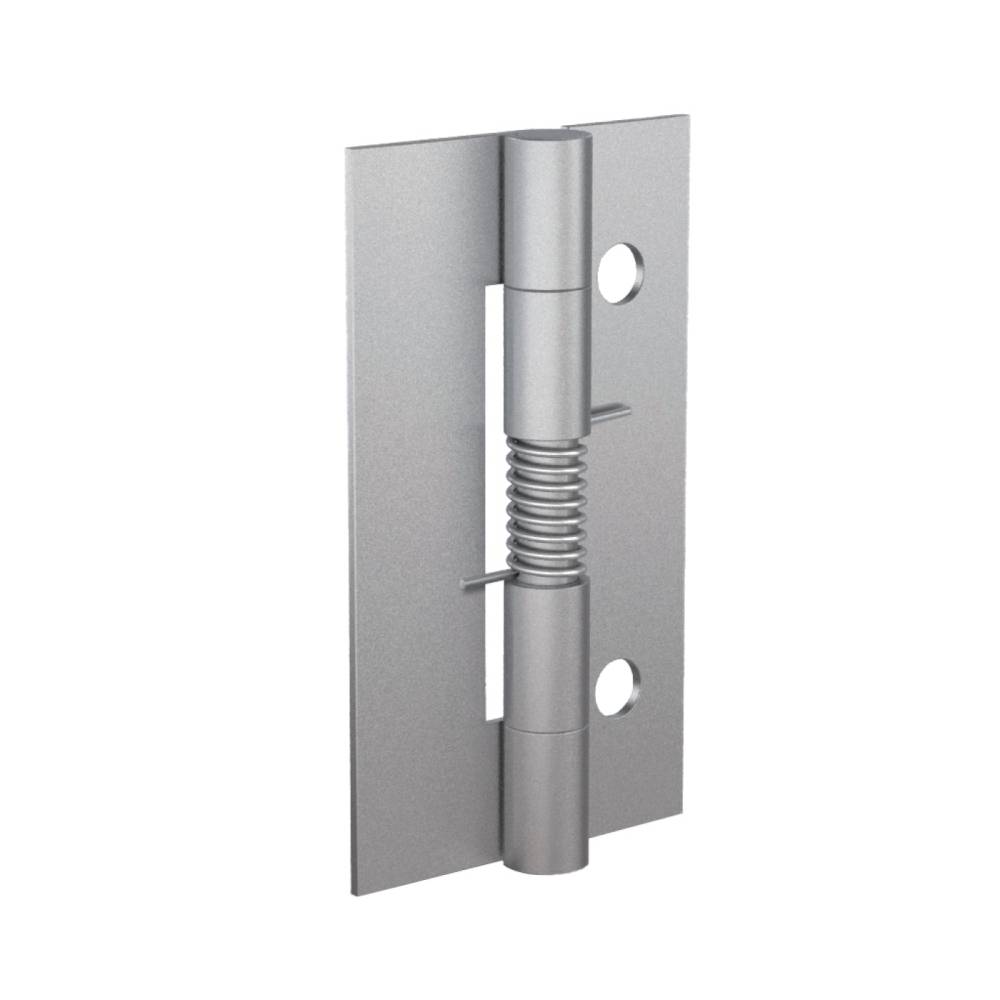 Spring hinges 60 mm long - with 2 holes